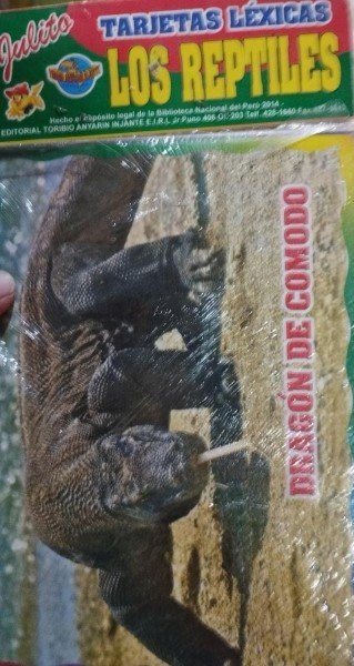 Los reptiles - Tarjetas Léxicas